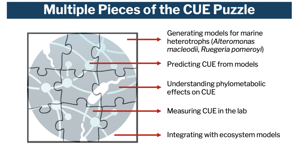 Bacterial Carbon Use Efficiency – C-CoMP