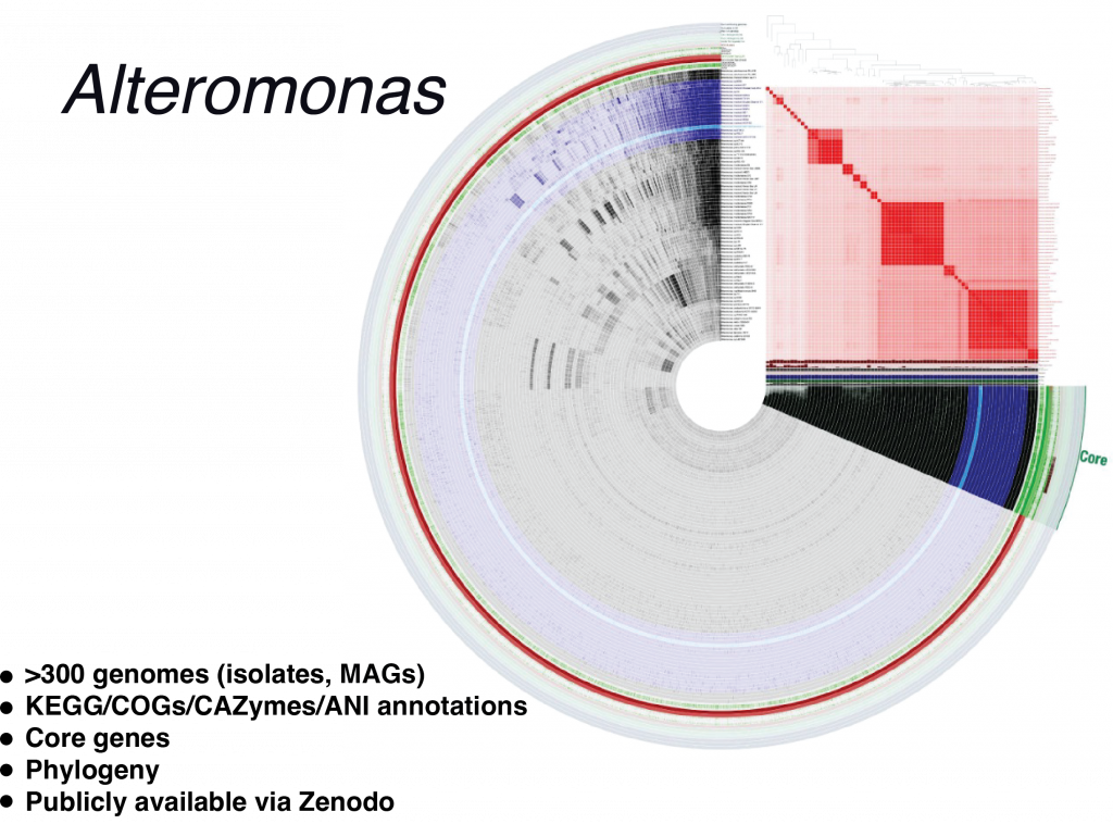 Digital Microbes – C-CoMP